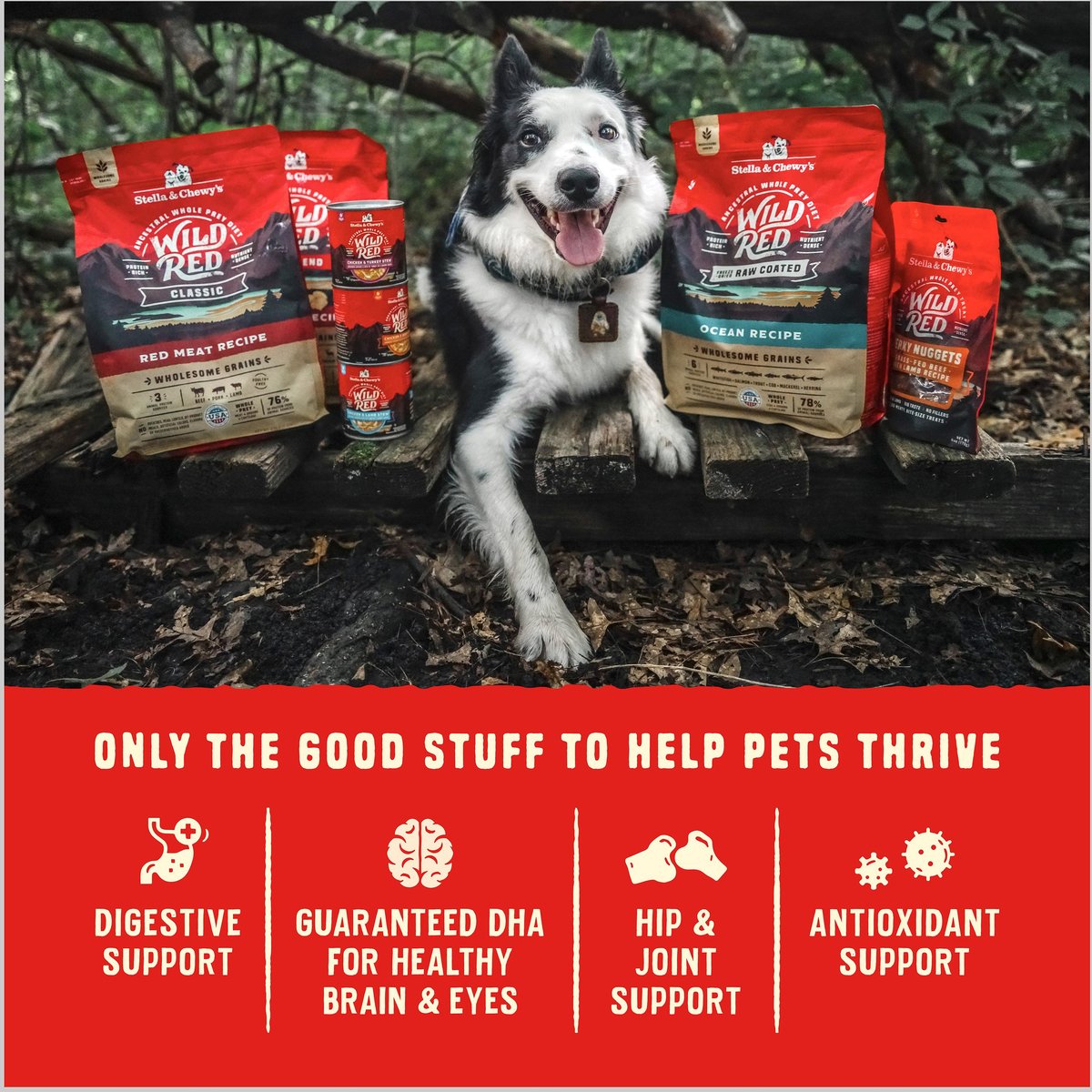 STELLA & CHEWY'S Puppy Prairie Recipe Wild Red Raw Coated High Protein ...