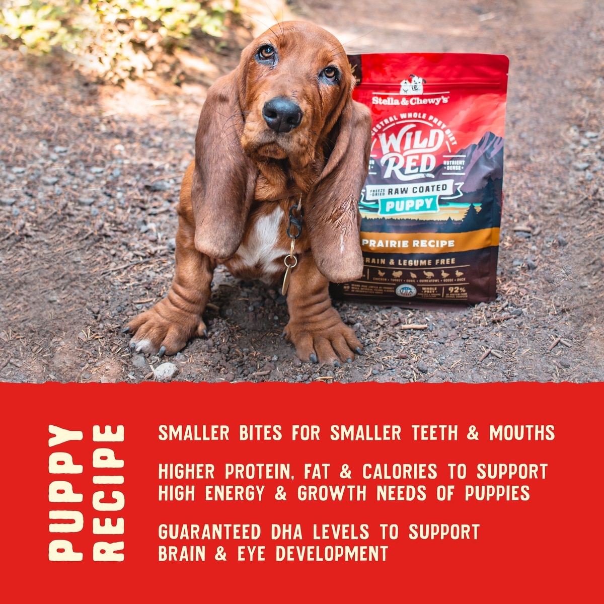 STELLA & CHEWY'S Wild Red Raw Coated Kibble Puppy Grain-Free Prairie ...