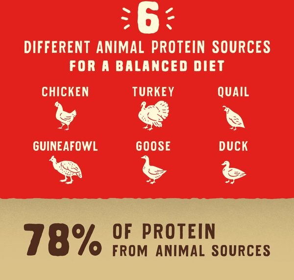 STELLA & CHEWY'S Wild Red Raw Coated Kibble Wholesome Grains Prairie ...