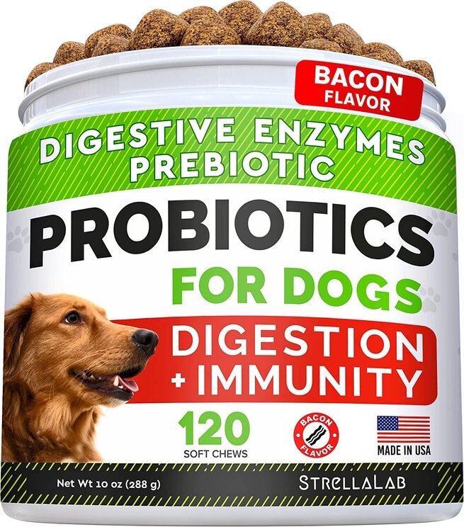 Dog Probiotics & Digestive Supplements (Free Shipping) | Chewy