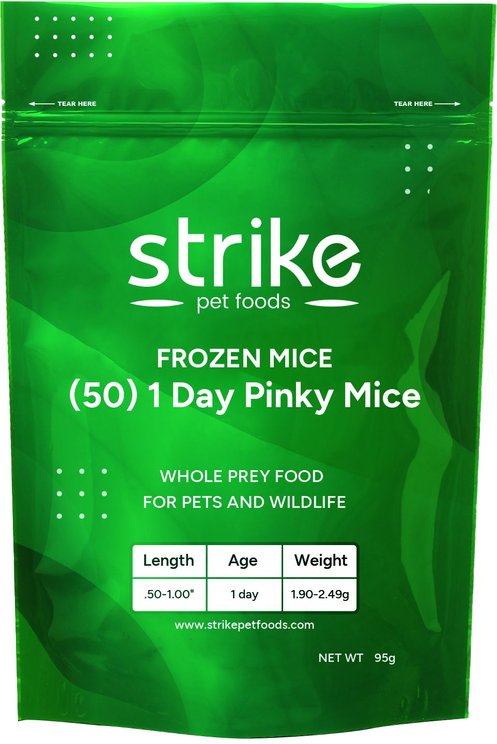 Frozen Mice & Rats For Reptiles | Chewy