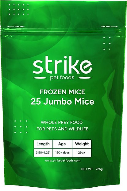 Frozen Mice & Rats For Reptiles | Chewy