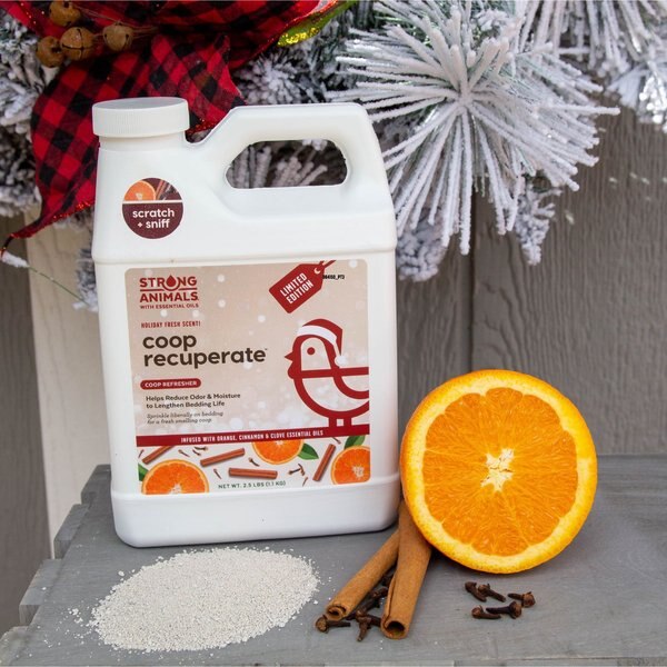 STRONG ANIMALS Holiday Limited Edition Coop Recuperate, 2 count - Chewy.com