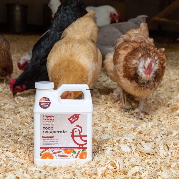 STRONG ANIMALS Holiday Limited Edition Coop Recuperate, 2 count - Chewy.com