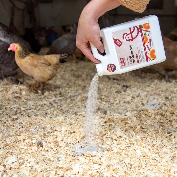 STRONG ANIMALS Holiday Limited Edition Coop Recuperate, 2 count - Chewy.com