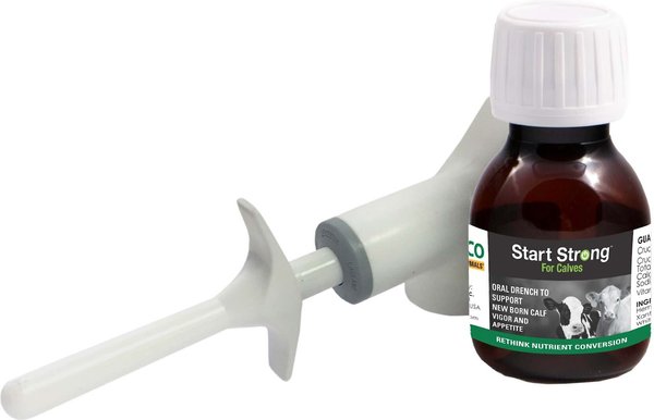STRONG ANIMALS Start Strong for Calves Cattle Supplement, 60-ml bottle ...