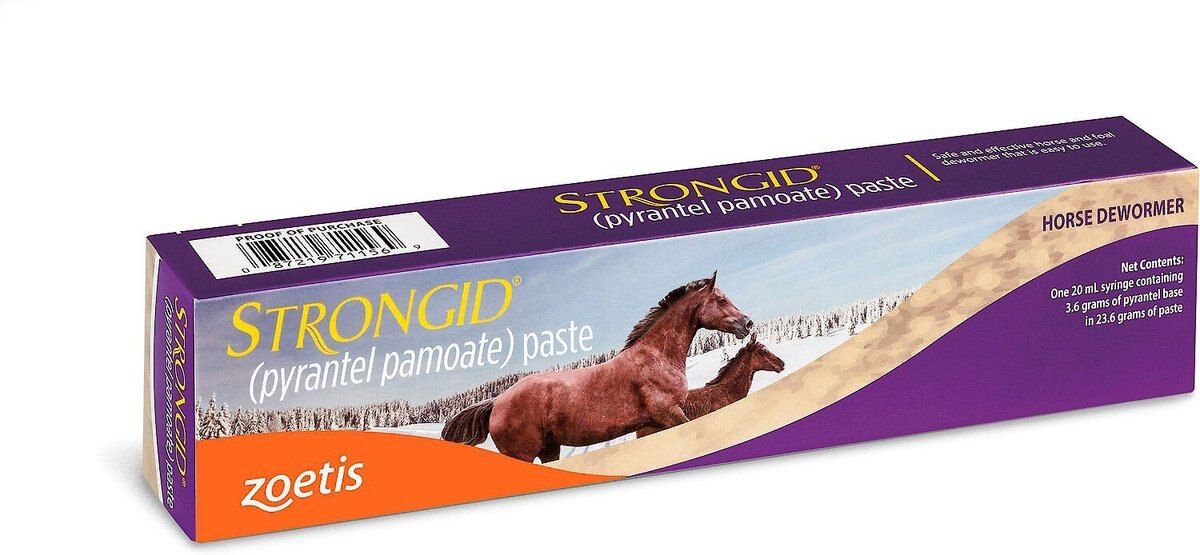 STRONGID Paste Dewormer for Horses, 20-ml syringe, 2 count - Chewy.com