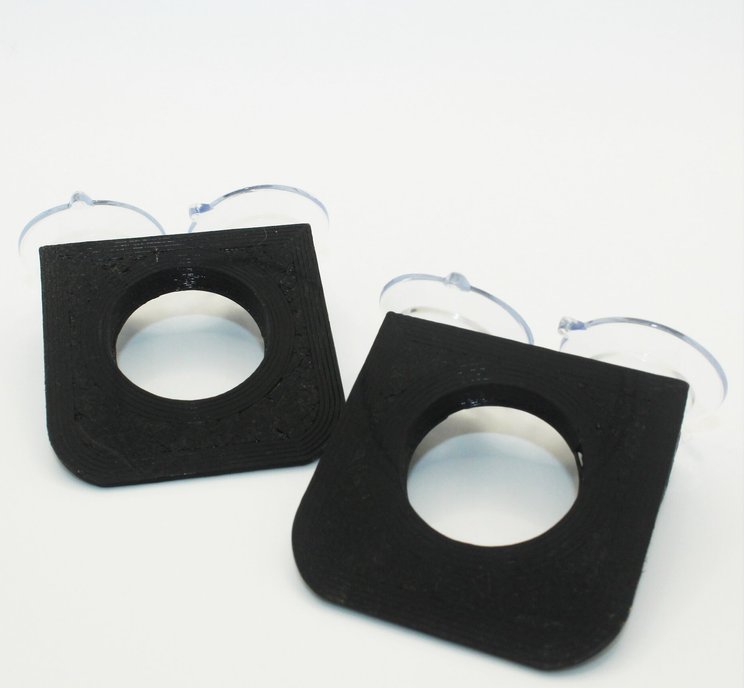 Crested Gecko Tank Decor | Chewy