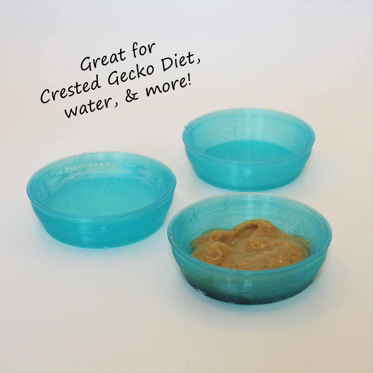 STROODIES Crested Gecko Bowl, 3 count, Aqua, 0.5-oz - Chewy.com