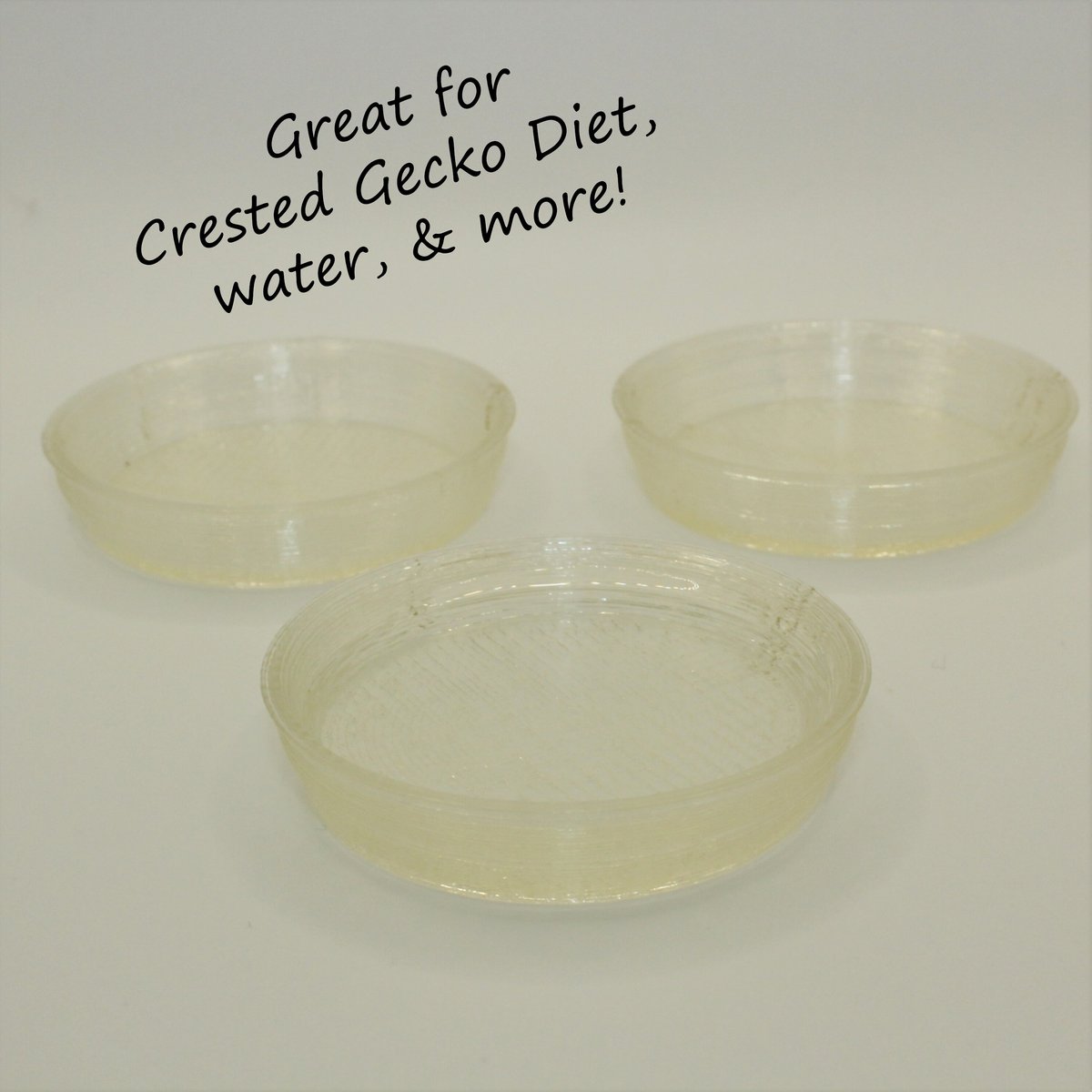 STROODIES Crested Gecko Bowl, 3 count, Clear, 2-oz - Chewy.com