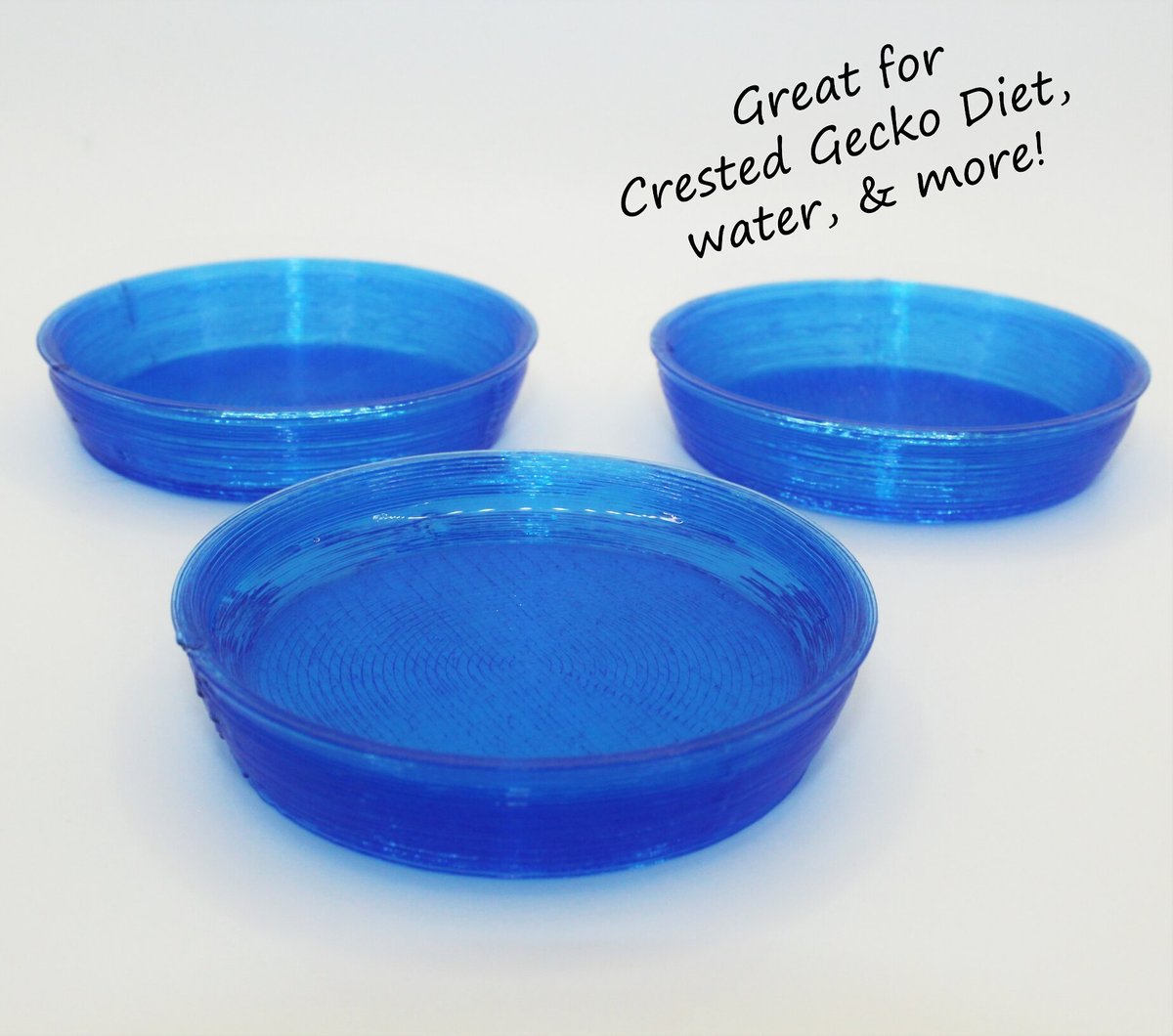 STROODIES Crested Gecko Bowl, 3 count, Sapphire, 2-oz - Chewy.com