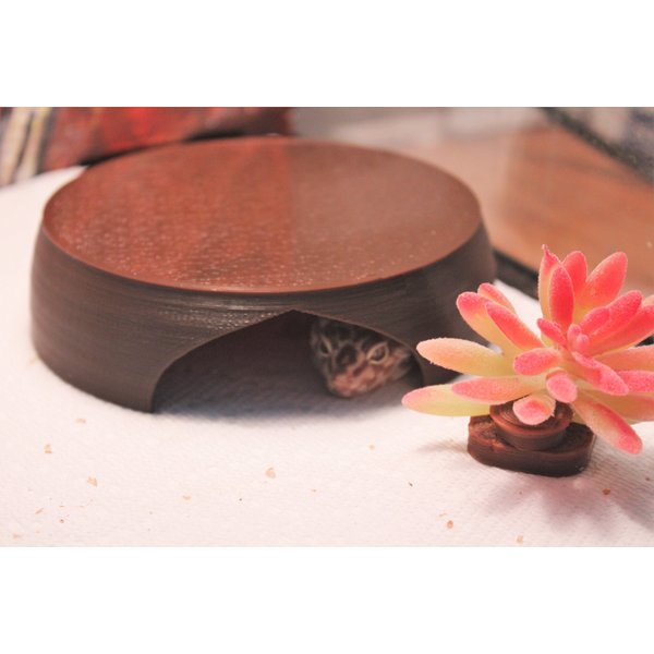 PANGEA Reptile Hide Box, Black, Medium - Chewy.com