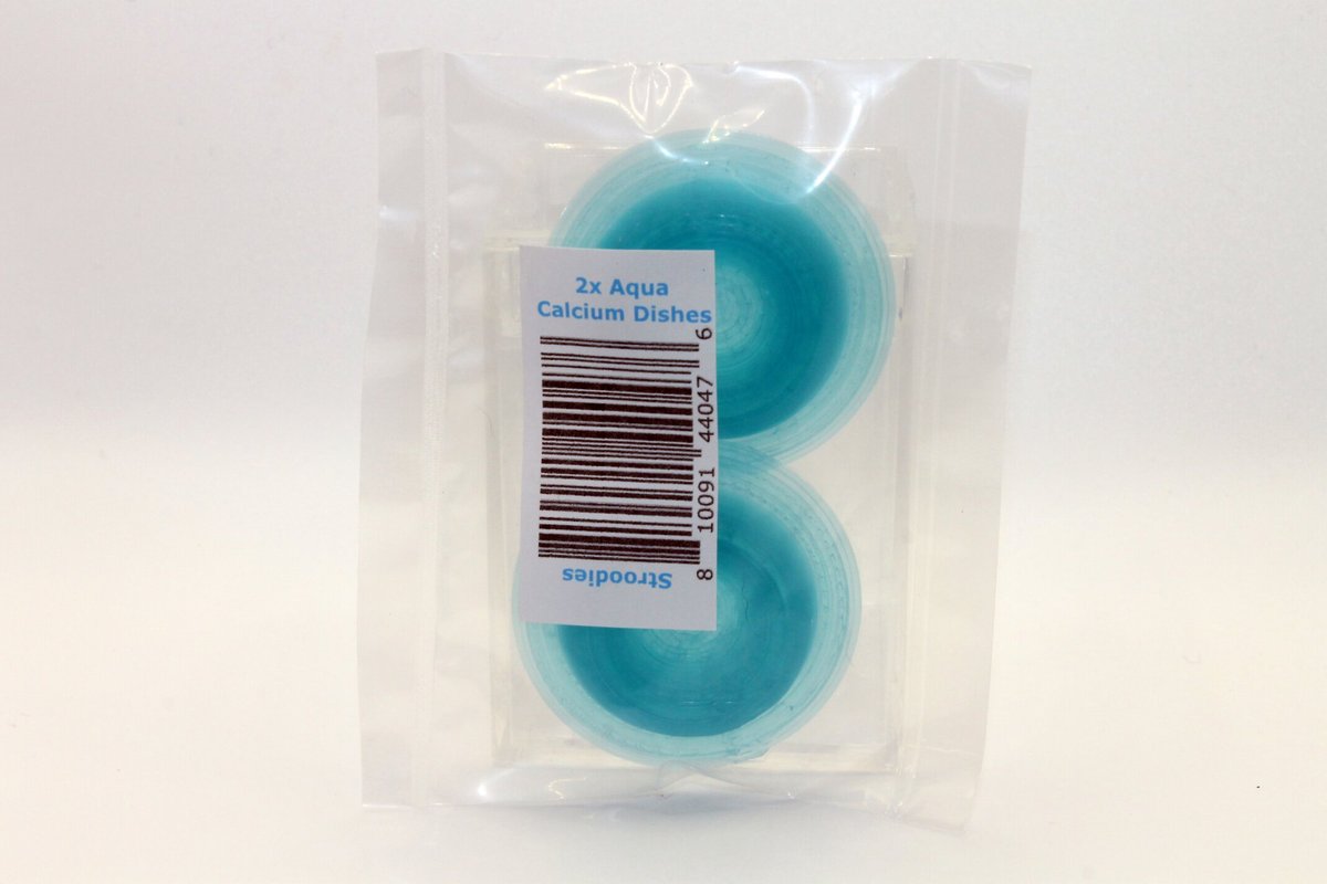 STROODIES Leopard Geckos Calcium Dish, Aqua - Chewy.com