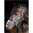 STUBBEN Reflective Horse Stable Halter, Blue, Cob - Chewy.com