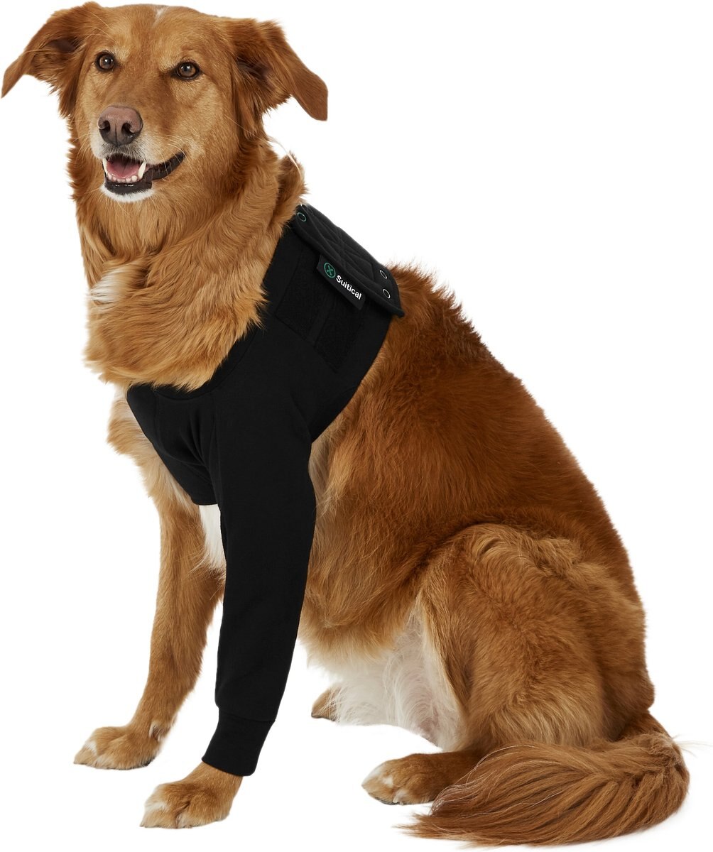 SUITICAL Recovery Sleeve for Dogs, Black, Large - Chewy.com