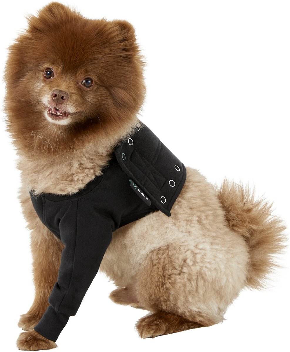 SUITICAL Recovery Sleeve for Dogs, Black, Small - Chewy.com