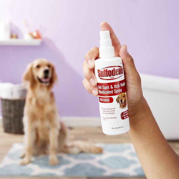 SULFODENE Medicated Hot Spot & Itch Relief Spray for Dogs, 8-fl oz ...