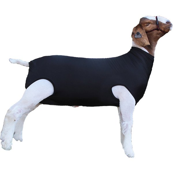 Out of Stock - SULLIVAN SUPPLY Performance Spandex Lamb Tube, Black ...