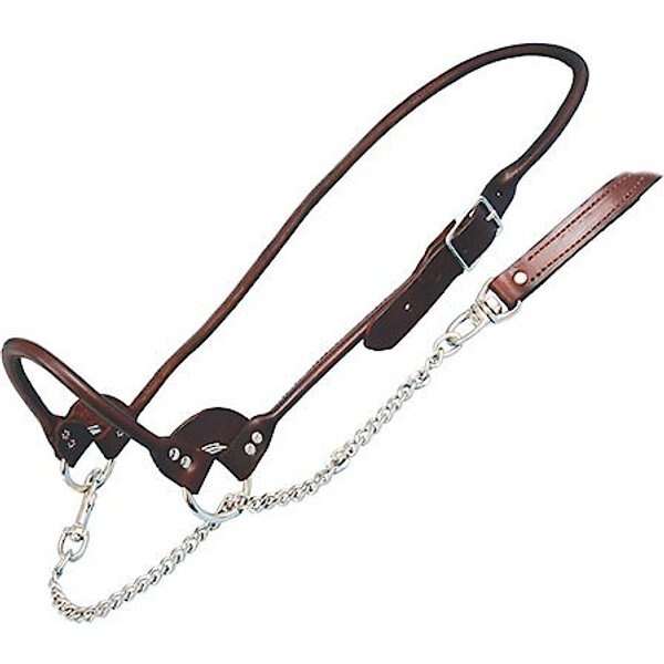 SULLIVAN SUPPLY 1st Class Show Farm Animal Halter, Black, 1,500 1,850 ...