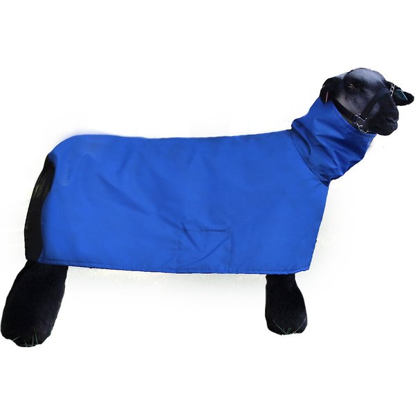 Out of Stock - SULLIVAN SUPPLY Thermal Sheep Blanket, Small - Chewy.com