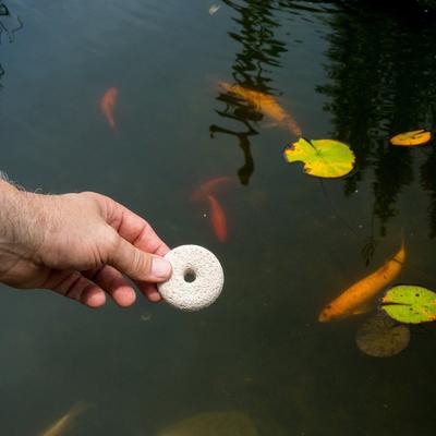 SUMMIT Mosquito Dunks Larvae Control Tablets, 20 count - Chewy.com