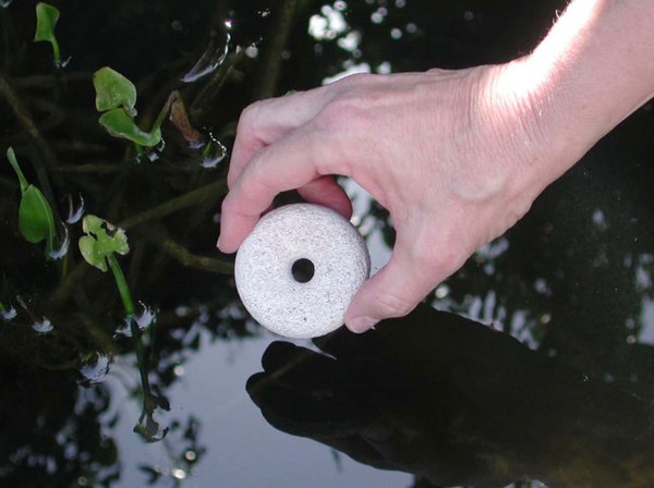 SUMMIT Mosquito Dunks Larvae Control Tablets, 6 count - Chewy.com