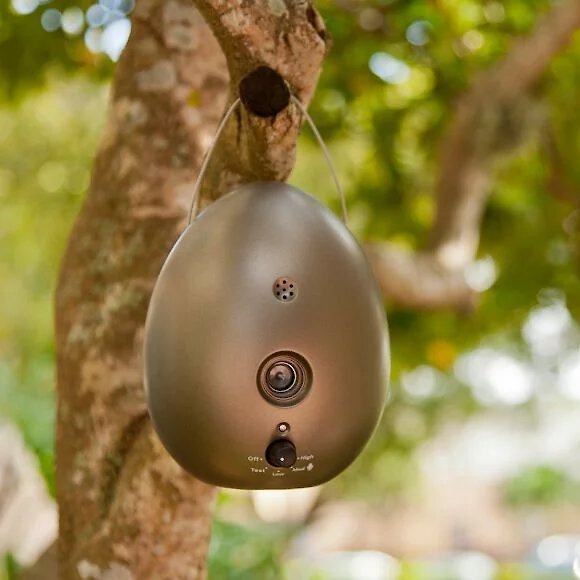 Sunbeam Sonic Egg Ultrasonic Bark Control Device (Free Shipping) | Chewy