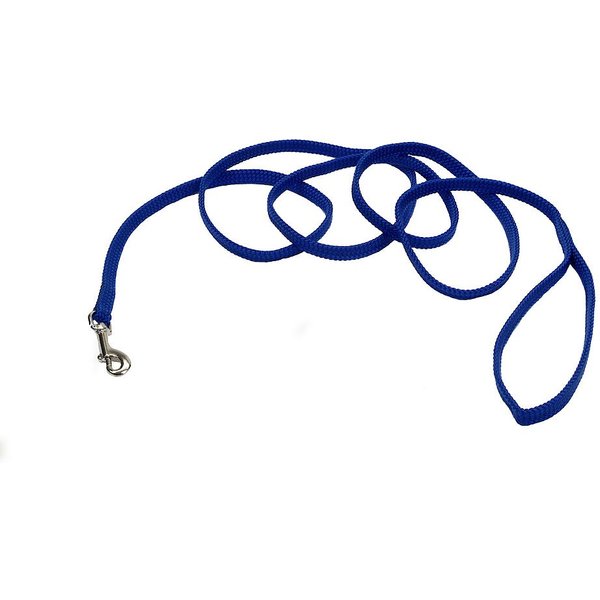 FRISCO Solid Nylon Dog Leash, Blue, Small: 6-ft long, 5/8-in wide ...