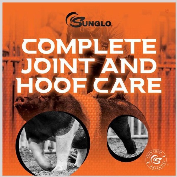 SUNGLO In Motion Show Animal Joint, Hoof, & Skin Health Farm Animal ...