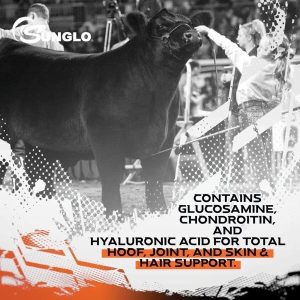 SUNGLO In Motion Show Animal Joint, Hoof, & Skin Health Farm Animal ...