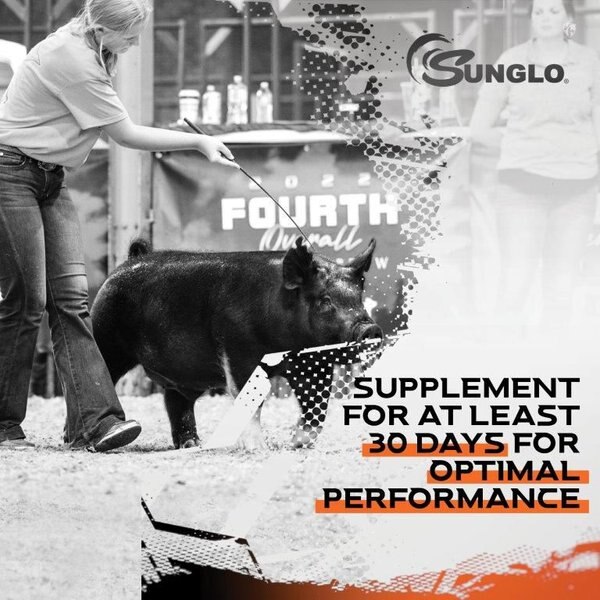 SUNGLO In Motion Show Animal Joint, Hoof, & Skin Health Farm Animal ...