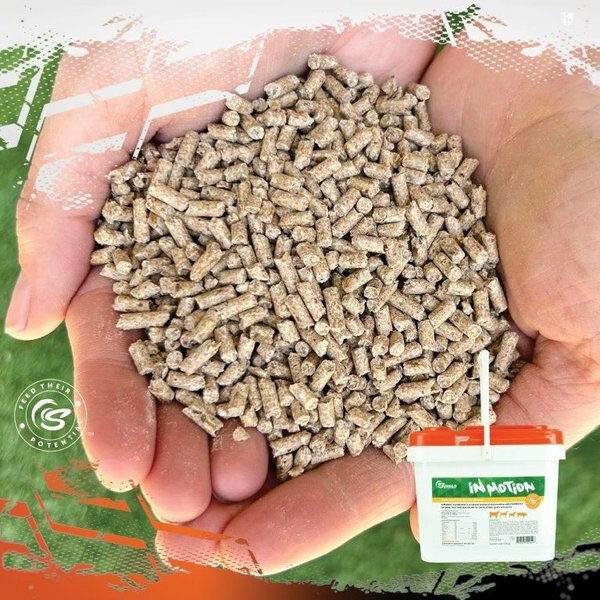 SUNGLO In Motion Show Animal Joint, Hoof, & Skin Health Farm Animal ...