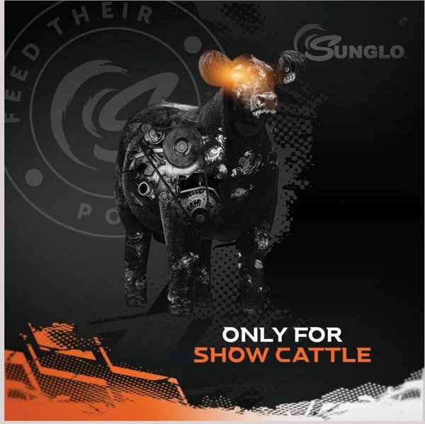 Discontinued - SUNGLO Show Cattle Explosion Show Animal Cattle Supplement, 30-lb bucket - Chewy.com