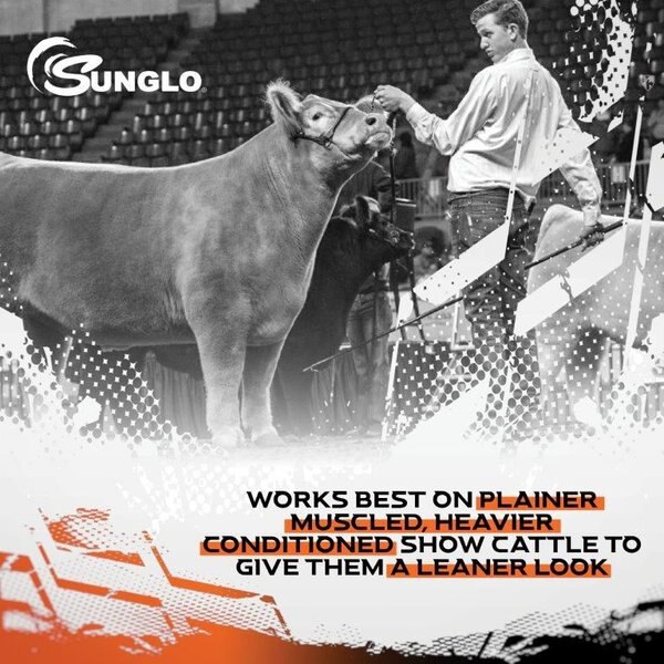 Discontinued - SUNGLO Show Cattle Explosion Show Animal Cattle ...