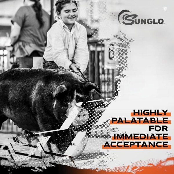 SUNGLO S'More Fill Show Animal Swine, Sheep, Goat & Cattle Supplement ...