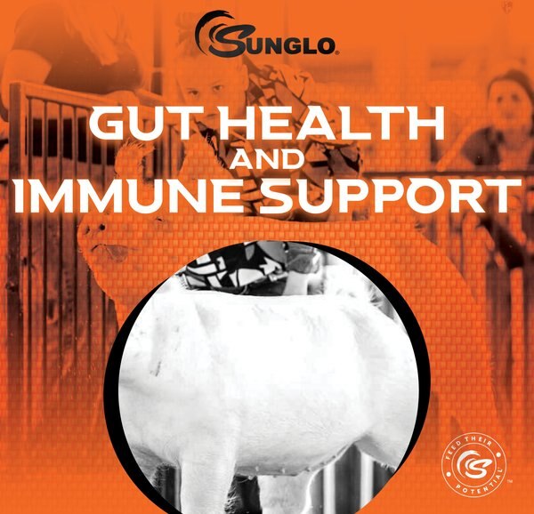 SUNGLO Stuffed Show Supplement for Pigs, 40-lb bag - Chewy.com