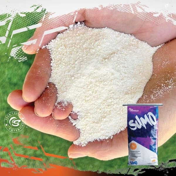 SUNGLO Sumo Show Pig Supplement, 25-lb bag - Chewy.com