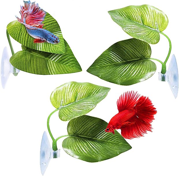 BETTA FISH TANK DECOR & ACCESSORIES (Free Shipping) | Chewy