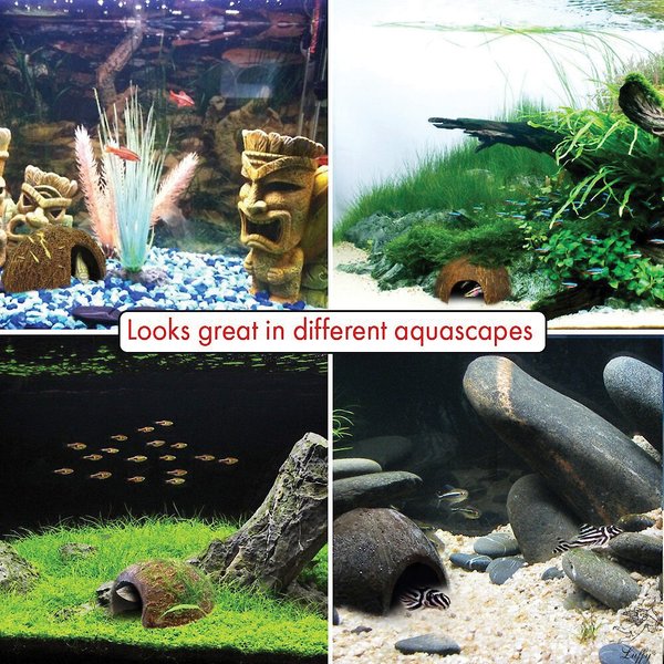 SUNGROW Betta Fish Hideout Cave, Decoration for Aquarium & Gecko Tank ...