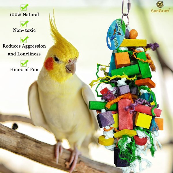 SUNGROW Bird Chew Toy, Medium & Large Parrot Foraging Blocks for Cage ...