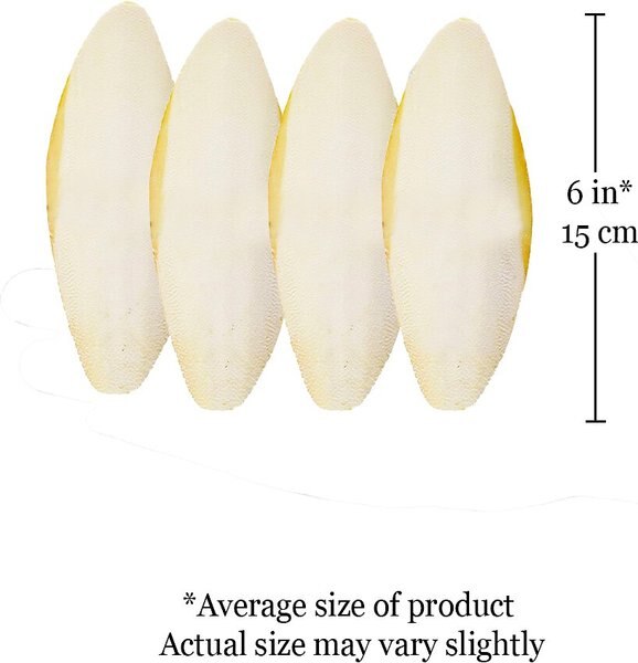 SUNGROW Bird Cuttlebones Calcium Health Cockatiels & Parakeets Food, 6 ...