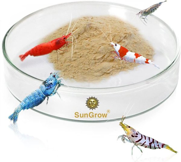 SUNGROW Bottom Feeder & Shrimp Feeding Dish, Sinking Fish Food ...