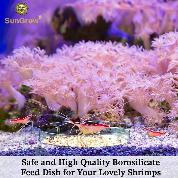 SUNGROW Bottom Feeder & Shrimp Feeding Dish, Sinking Fish Food ...