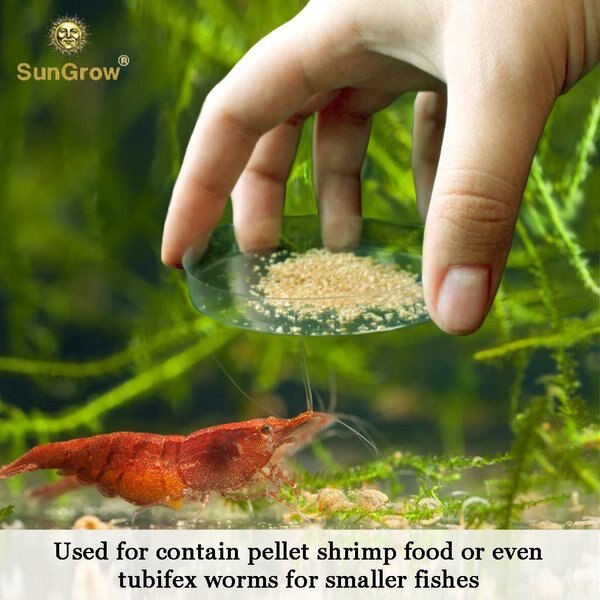 SUNGROW Bottom Feeder & Shrimp Feeding Dish, Sinking Fish Food ...