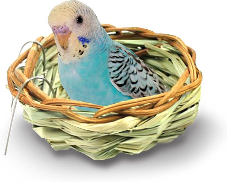 Bird Nesting & Bedding | Chewy