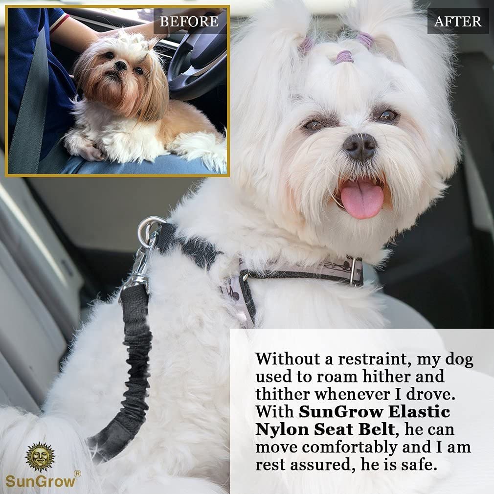 SUNGROW Cat & Dog Car Leash Elastic Seat Belt & Restraint for Safety ...