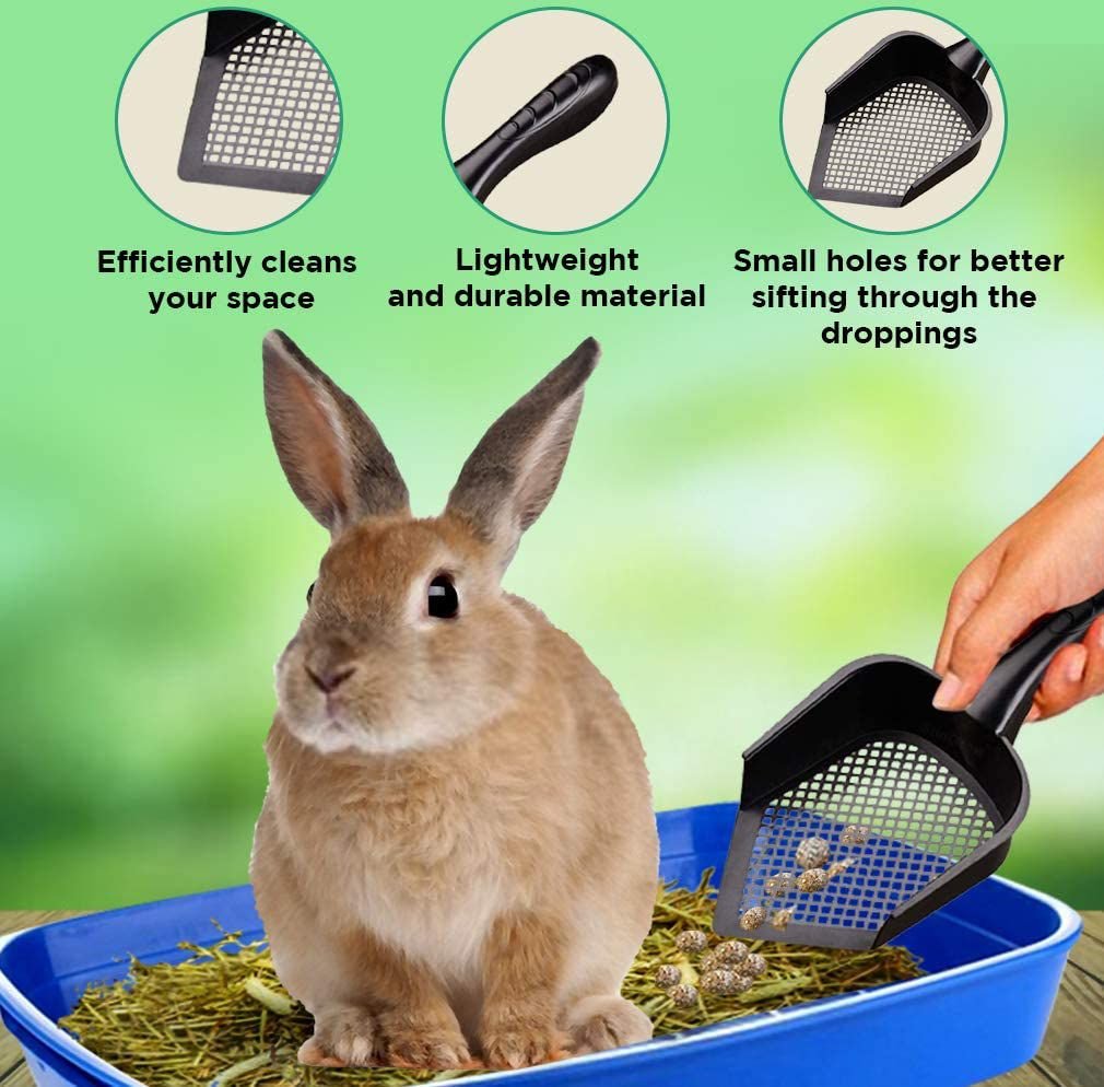 VILA Corner Box Clumping Fine Sand Cat Litter Scooper - Chewy.com