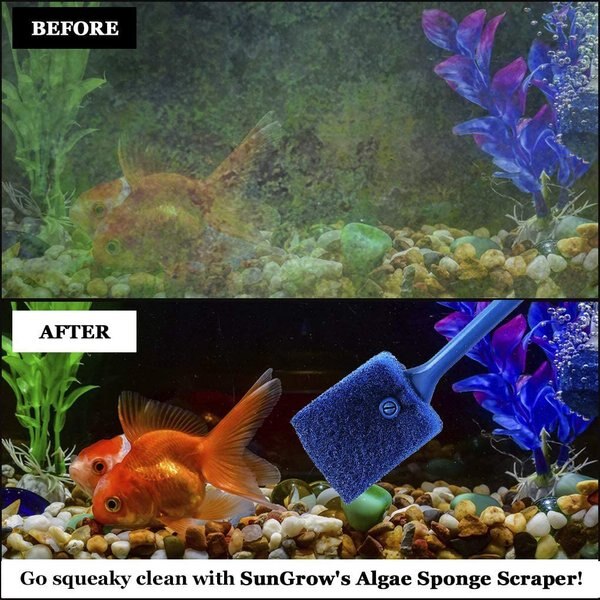 SUNGROW Double Sided Sponge Glass Aquarium Algae Scraper, 15-in - Chewy.com