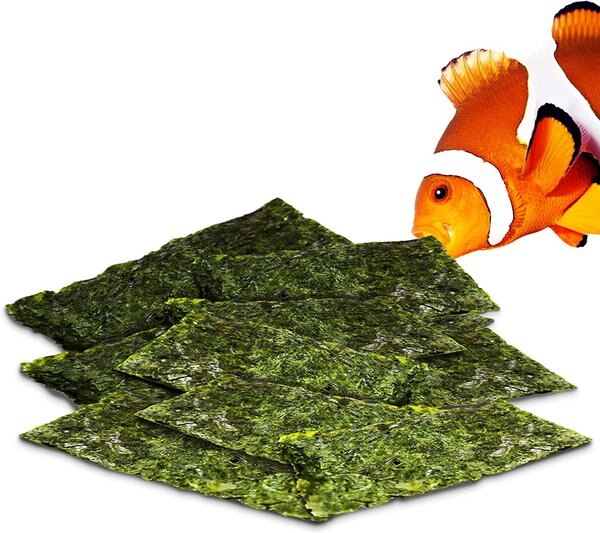 SUNGROW Dried Green Seaweed Sheets Snack for Betta & Hermit Crab ...