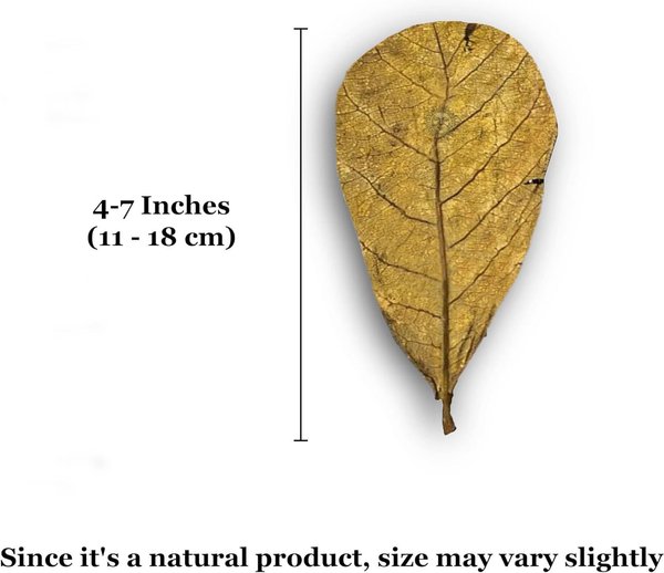 SUNGROW Gecko & Snake Indian Almond Reptile Leaf Litter & Substrate ...